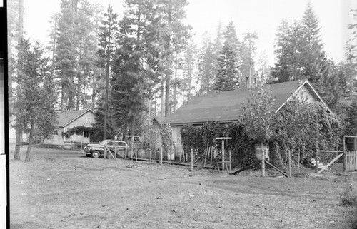 McCloud Logging Camp California 1950s view OLD PHOTO 14 | eBay