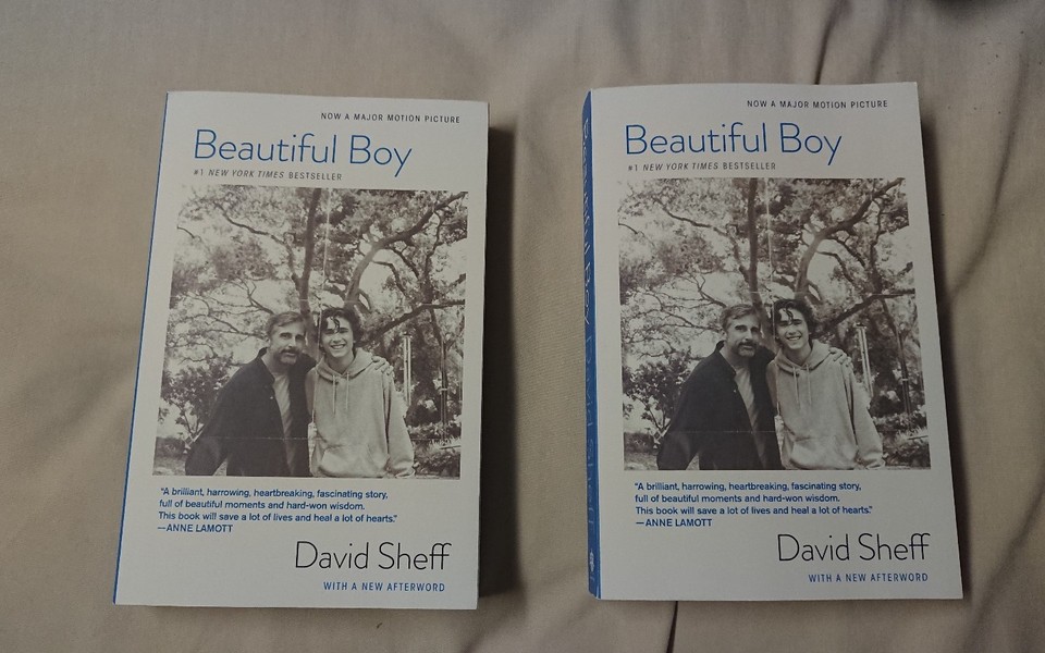 Beautiful Boy David Sheff Timothee Chalamet Movie Tie-In Book 1/1 PB ...