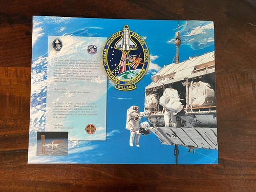 STS-116 Flown Patch and Pin on Certificate | eBay