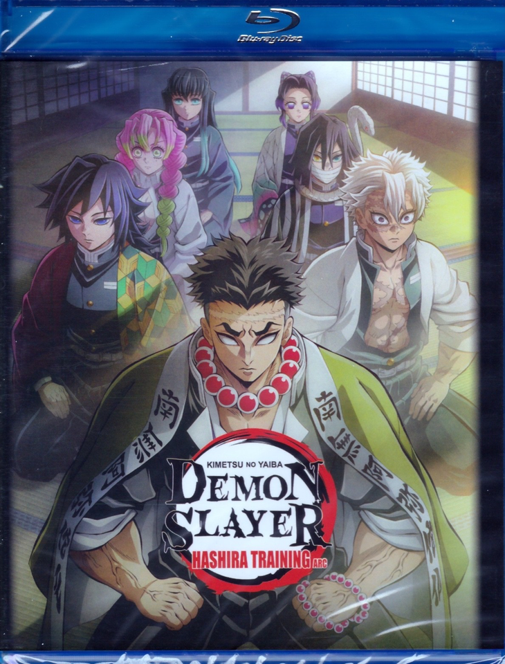 DEMON SLAYER: KIMETSU NO YAIBA HASHIRA TRAINING ARC (8 Episodes) BLURAY ...