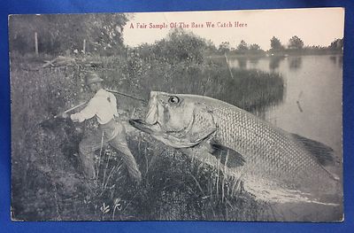 1913 Exaggerated BASS FISHING Lake POSTCARD Antique Original | eBay