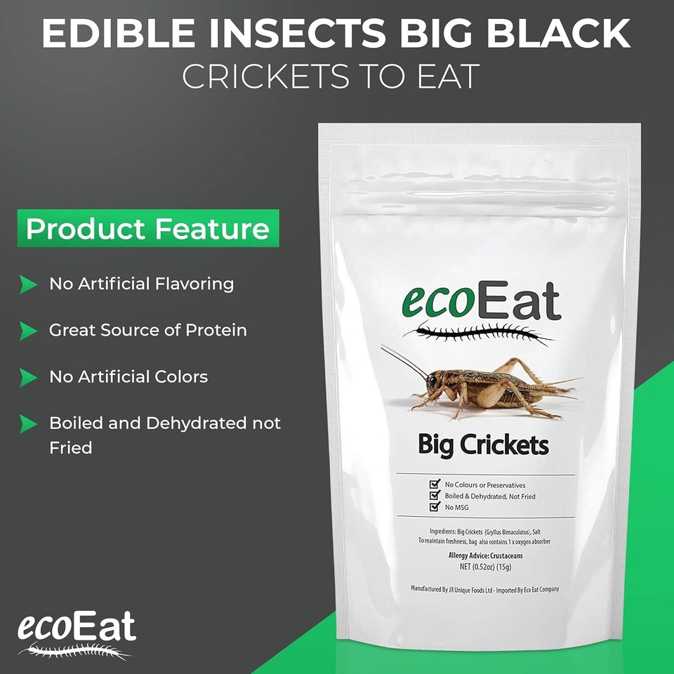 Edible Insects Big Black Crickets to Eat – Edible Bugs Edible ...