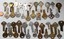 LOT OF (35) ANTIQUE AND VINTAGE FLAT STEEL KEYS OLD LOCK,PADLOCK,TRUNK ...