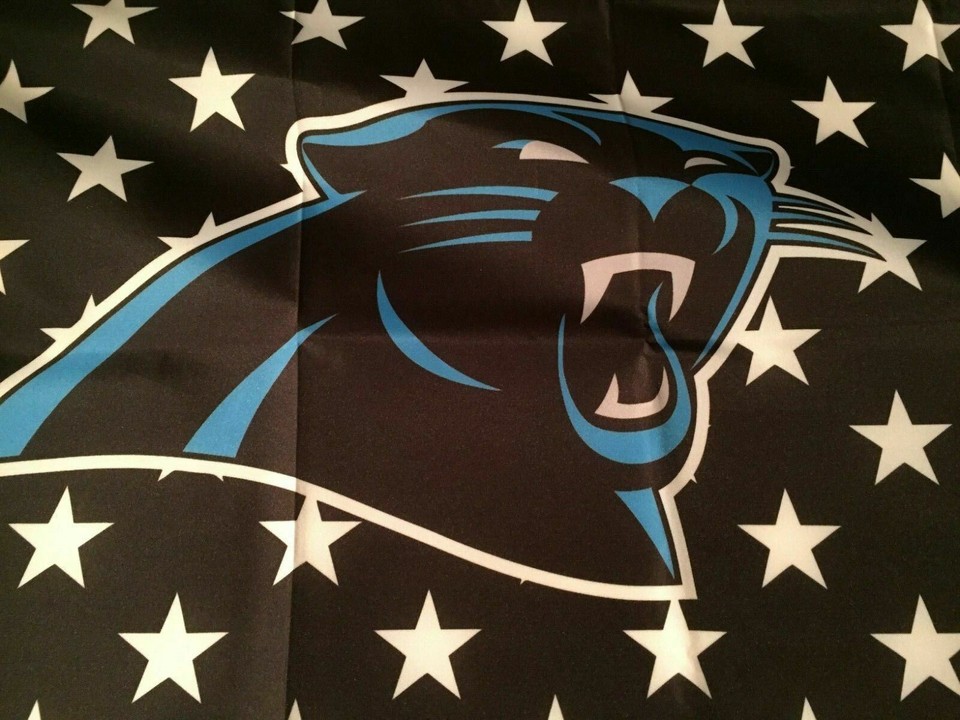 Panthers FLAG 3X5 Carolina Banner Fast Shipping New USA | eBay