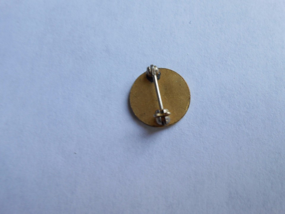 Vintage ALA American Legion Auxiliary Department Penna Medal Award Pin ...