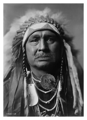CROW SCOUT WHO SERVED WITH CUSTER NATIVE AMERICAN BY EDWARD CURTIS 5X7 ...