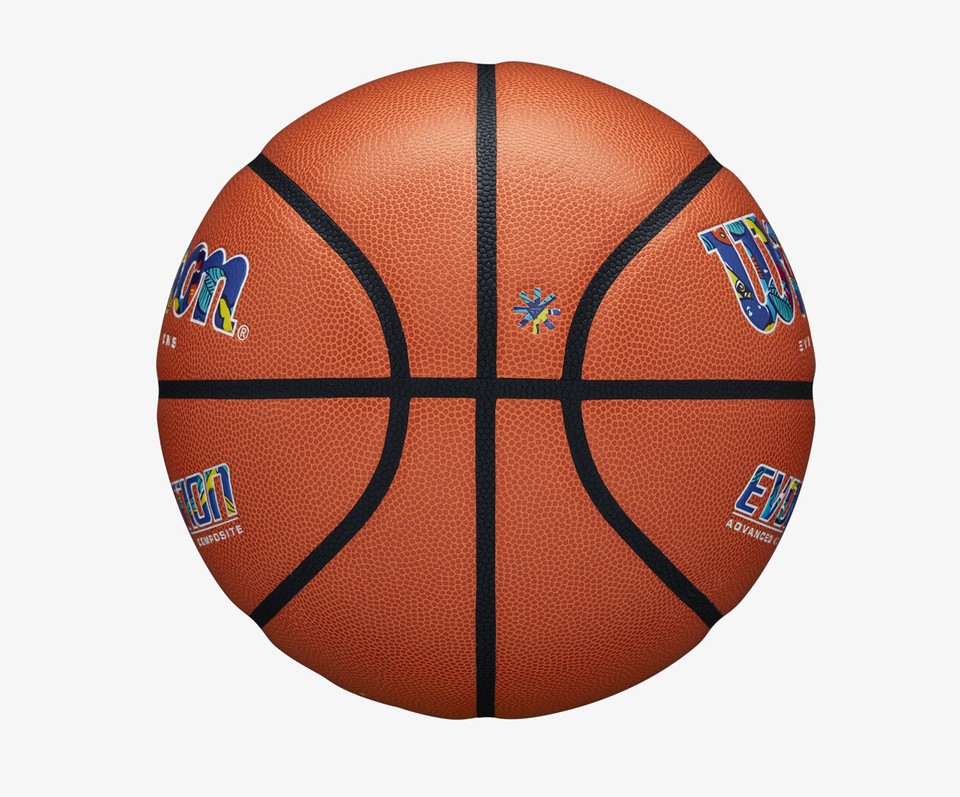 Wilson Evolution Basketball 29.5 Evo Editions Chump Rare | eBay