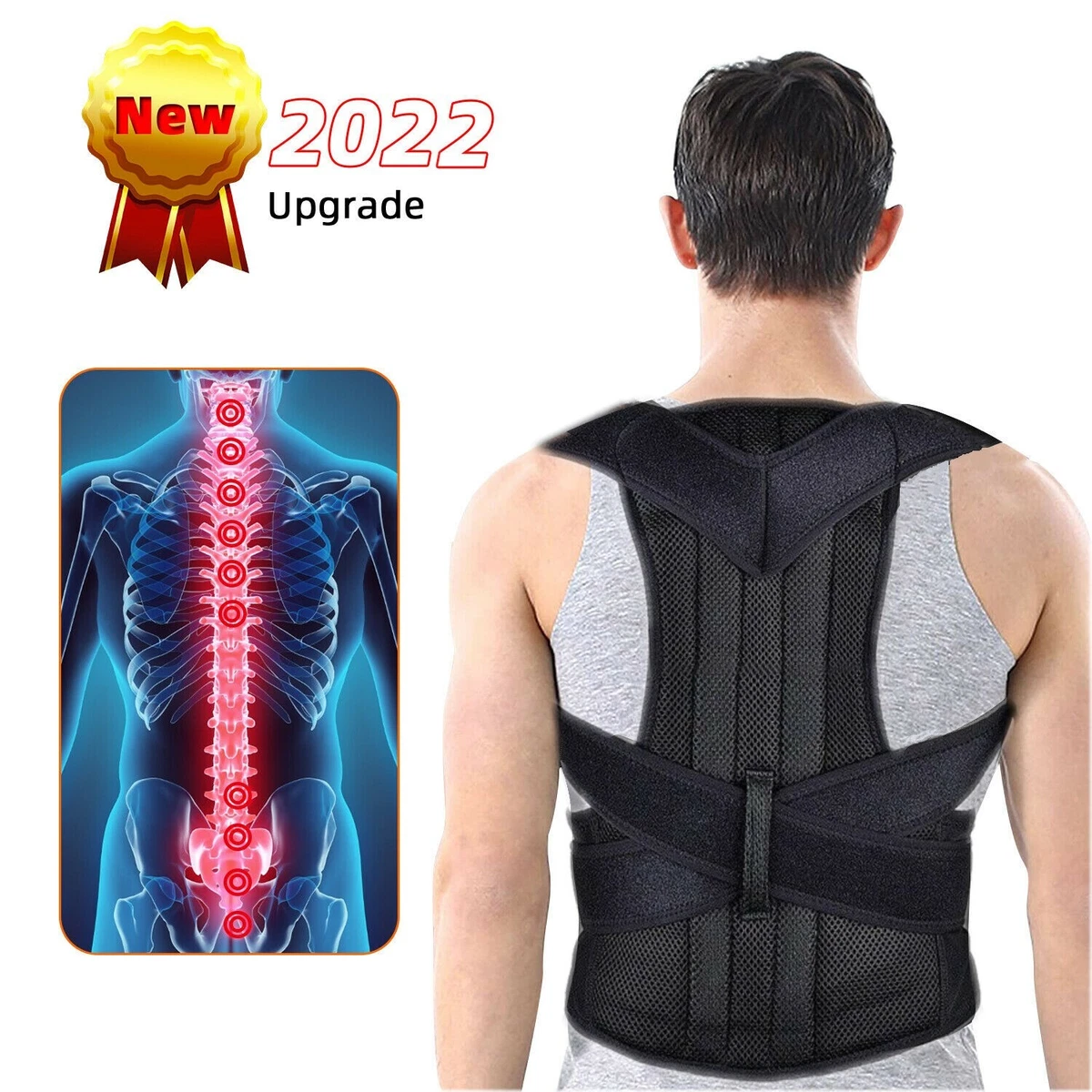 2022 Scoliosis Back Brace