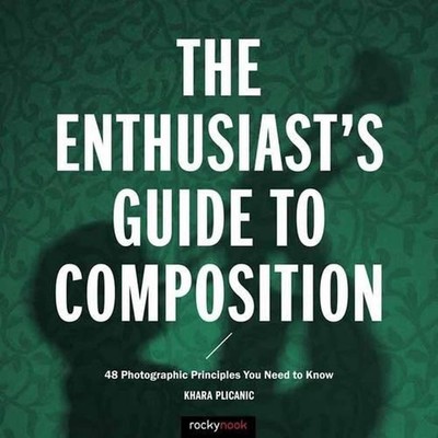 The Enthusiast's Guide to Composition: 48 Photographic Principles You ...