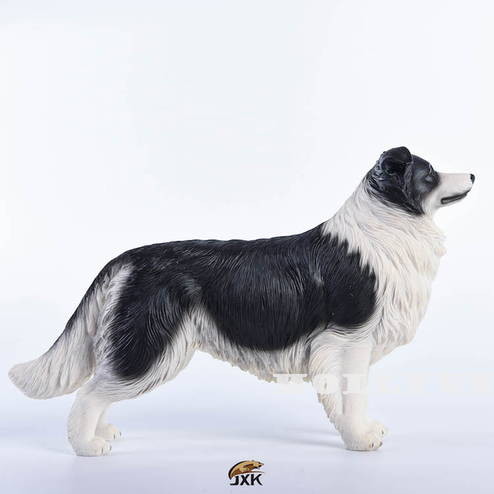 JXK Border Collie Dog Model 1/6 Resin Pet Figurine Animal Collectible ...