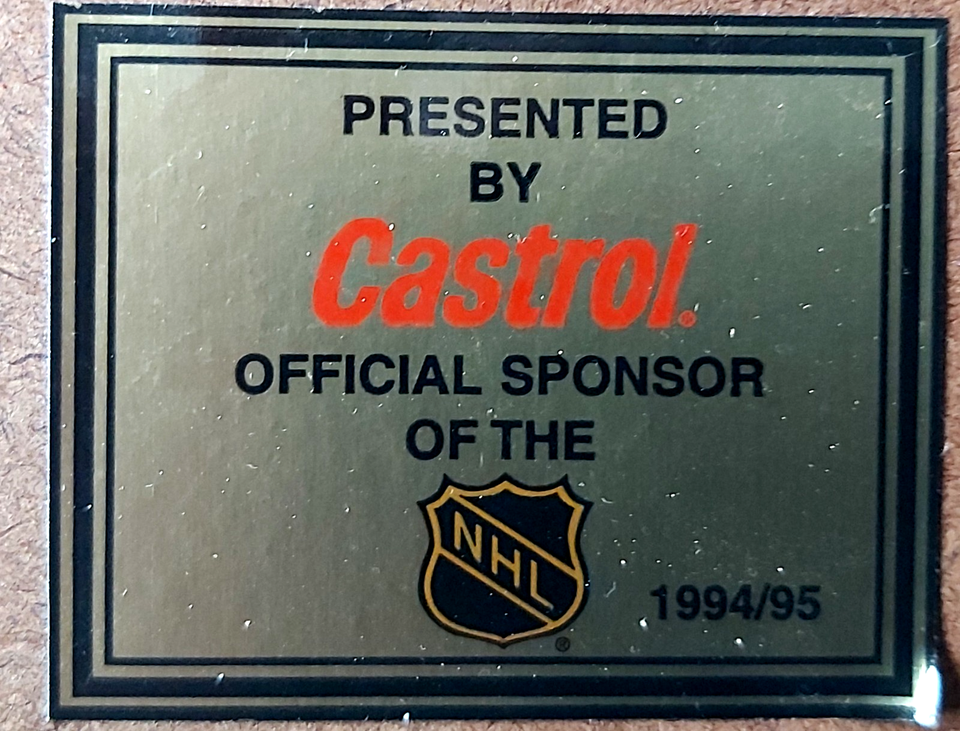 1994-95 NHL Team Logo Hockey Pin Set Framed 26 Teams CASTROL Sponsor | eBay