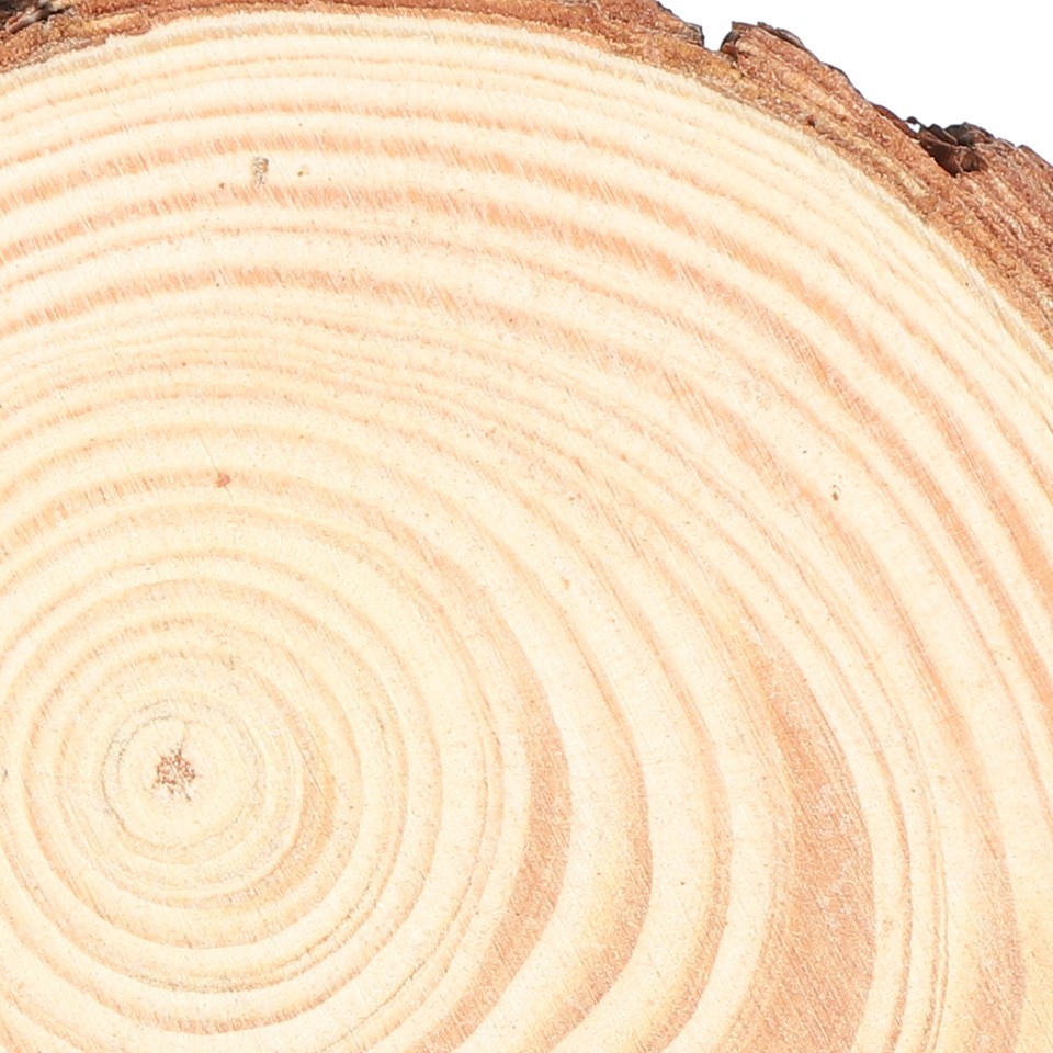 Wood Slices Round Pine Logs Crafts Painting Wedding Party Decoration 4 ...