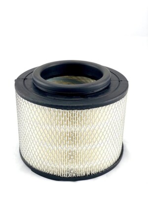Air filter DA2995: replaces 178010C010, 178010C020, 6M349601AB, AF26501 ...