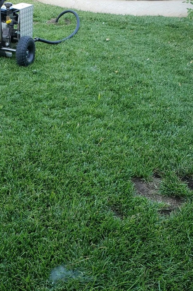 Smokehouse Labs Gopher Smoke oil | eBay