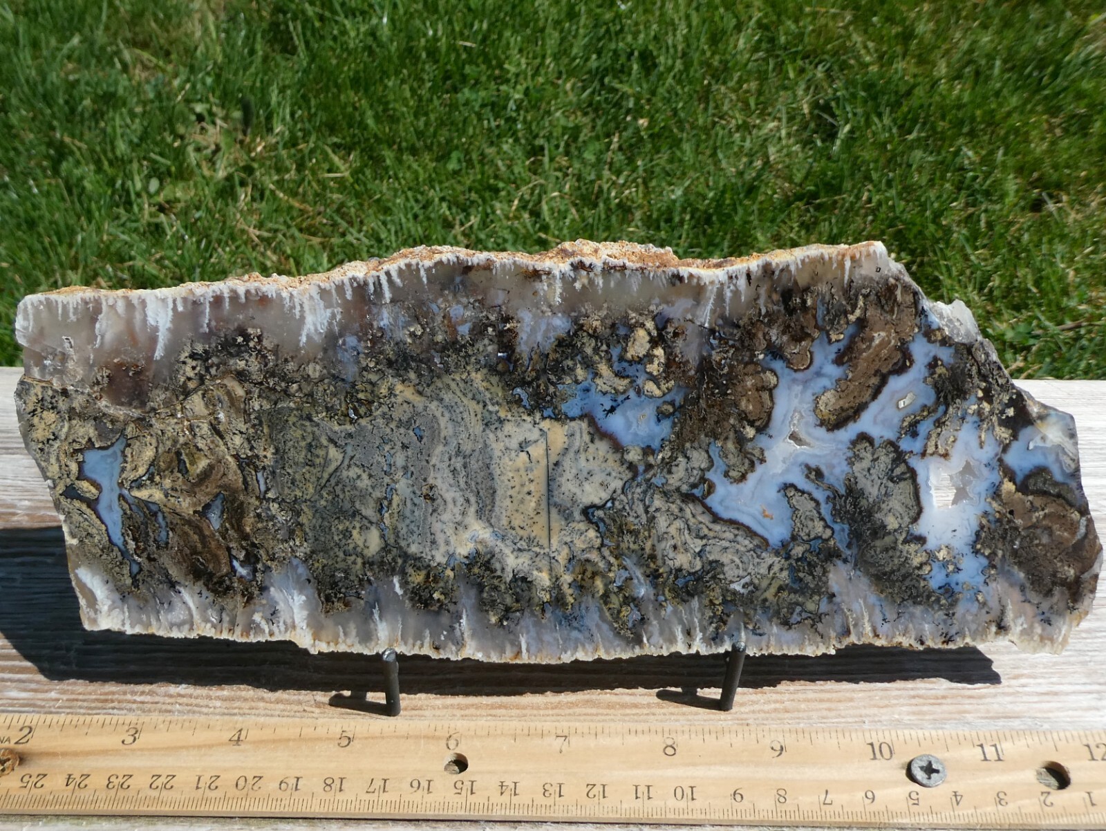 TCR GRAVEYARD POINT PLUME AGATE/JASPER/LAPIDARY POLISHED SLAB 350 GRAMS ...