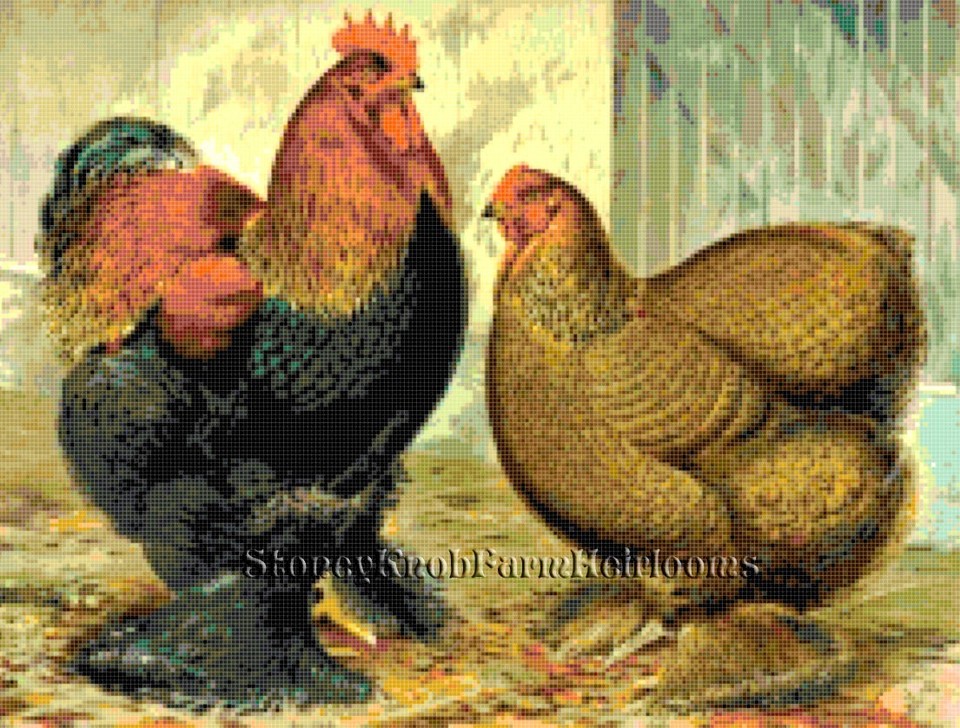 Partridge Cochins ~ Chickens, Poultry ~ DIY Counted Cross Stitch ...