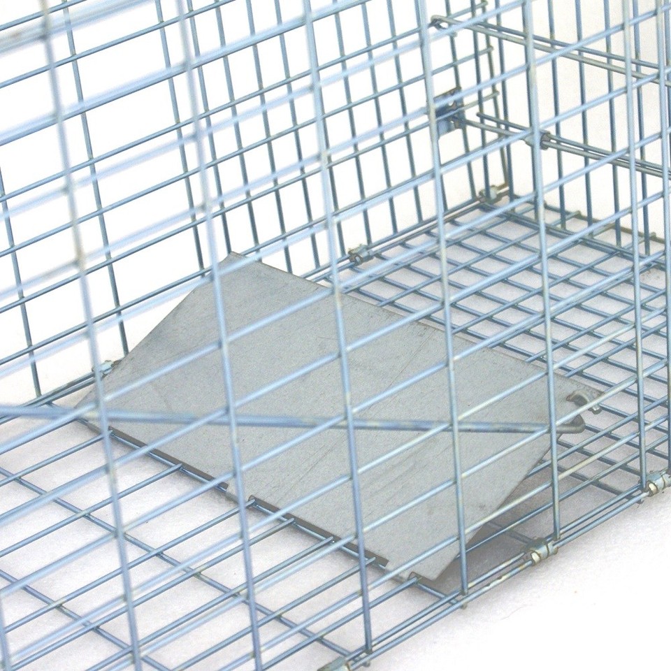 Extra Large Rodent Cage Live Animal Trap Garden Rabbit Raccoon Cat 32 ...