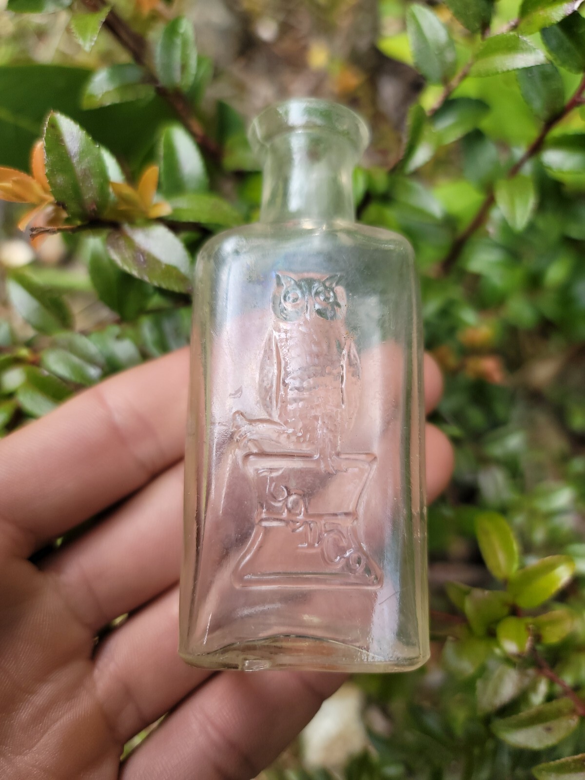 Old Miniature Western Medicine Bottle☆ Antique San Francisco Owl Drug ...