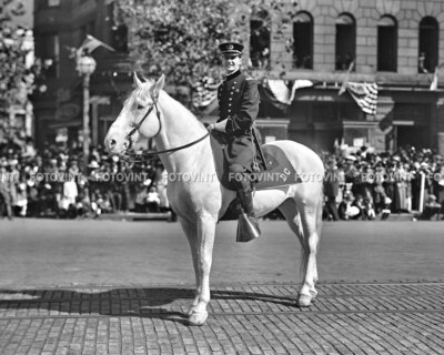 1910 DC Metro MOUNTED POLICE OFFICER 16x20 Photo Picture COP & HORSE ...