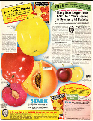 1947 vintage farm AD STARKE ORCHARDS , Gorgeous Fruit Louisiana MO ...