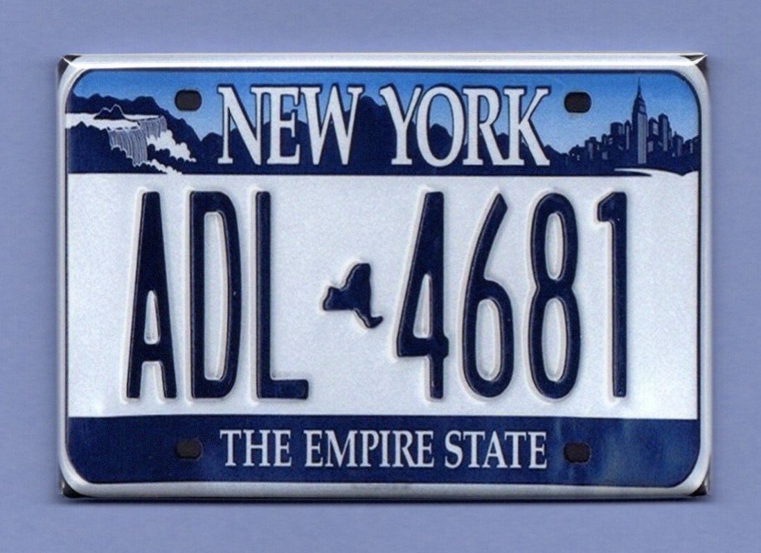 NEW YORK LICENSE PLATE *2X3 FRIDGE MAGNET* SOUVENIR COLLECTIBLE GIFT ...