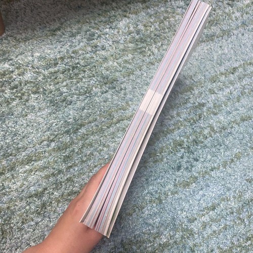Harvest Moon series Official Illustration Art Book 2012 Bokujo ...