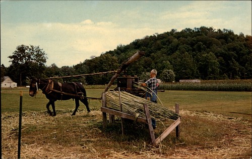 Sorghum Mill Gnaw Bone Indiana vintage postcard x428 | eBay