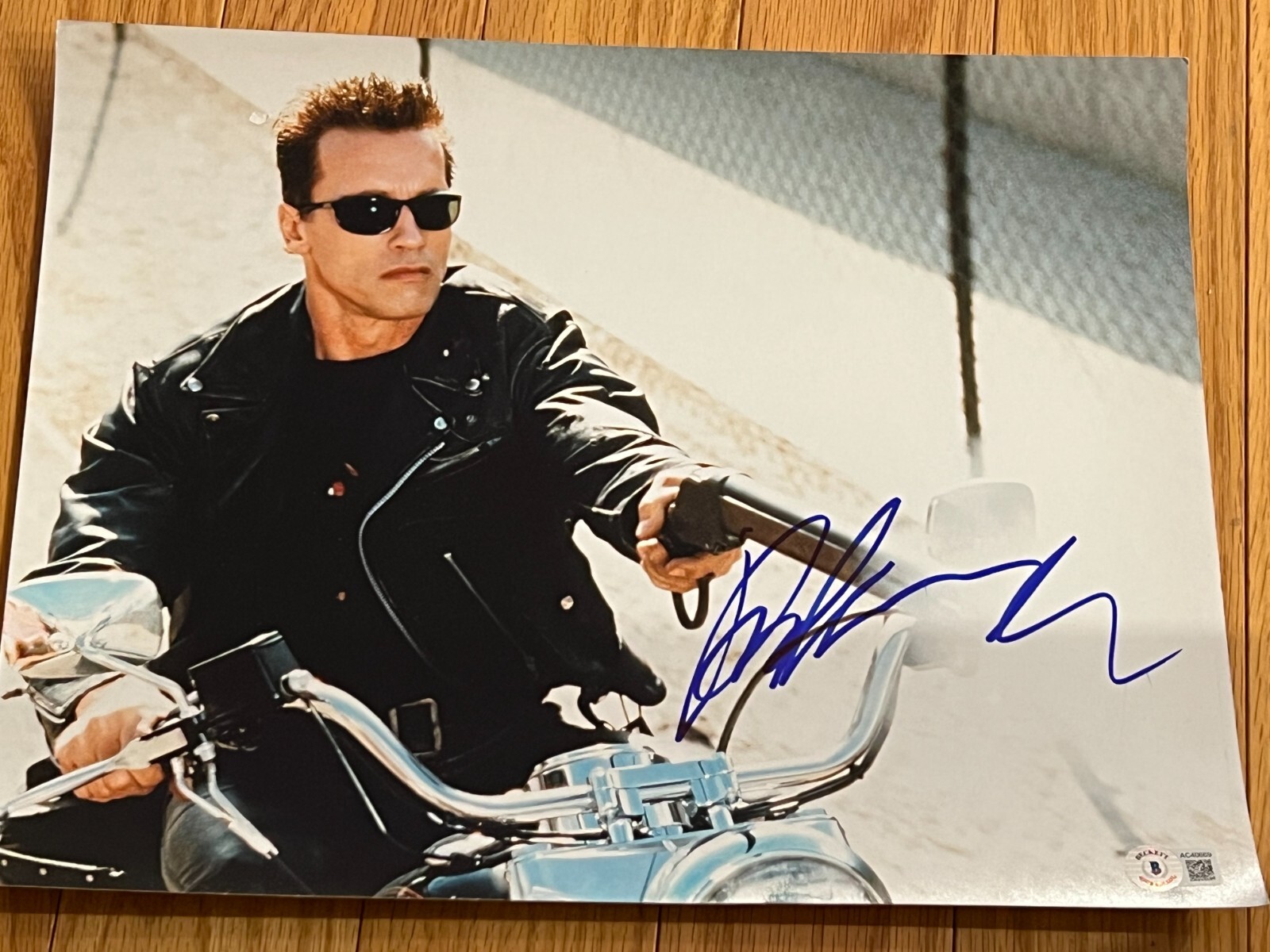 Arnold Schwarzenegger | Player