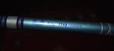 Casting - Daiwa Apollo