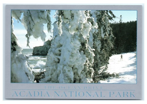 Postcard Winter Scene Along Ocean Drive, Acadia National Park Maine ...