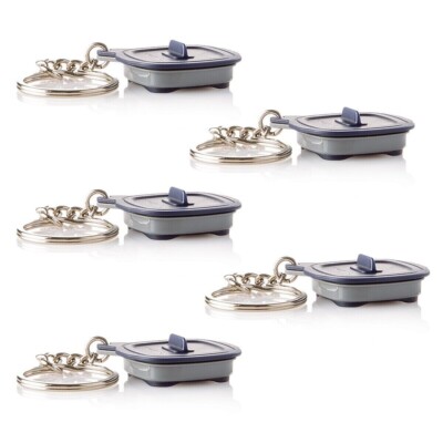 Tupperware Miniature Micro Grill Keychains Set of 5 New | eBay