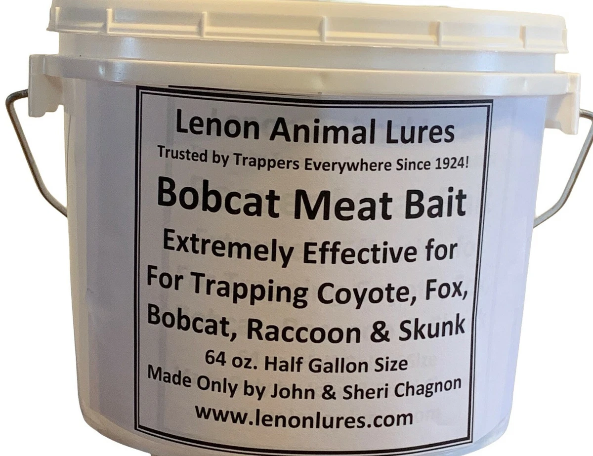 Best Bait For Trapping Bobcats