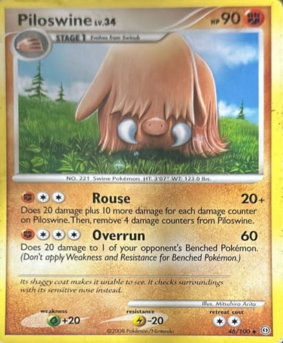 Stormfront Piloswine | eBay.de