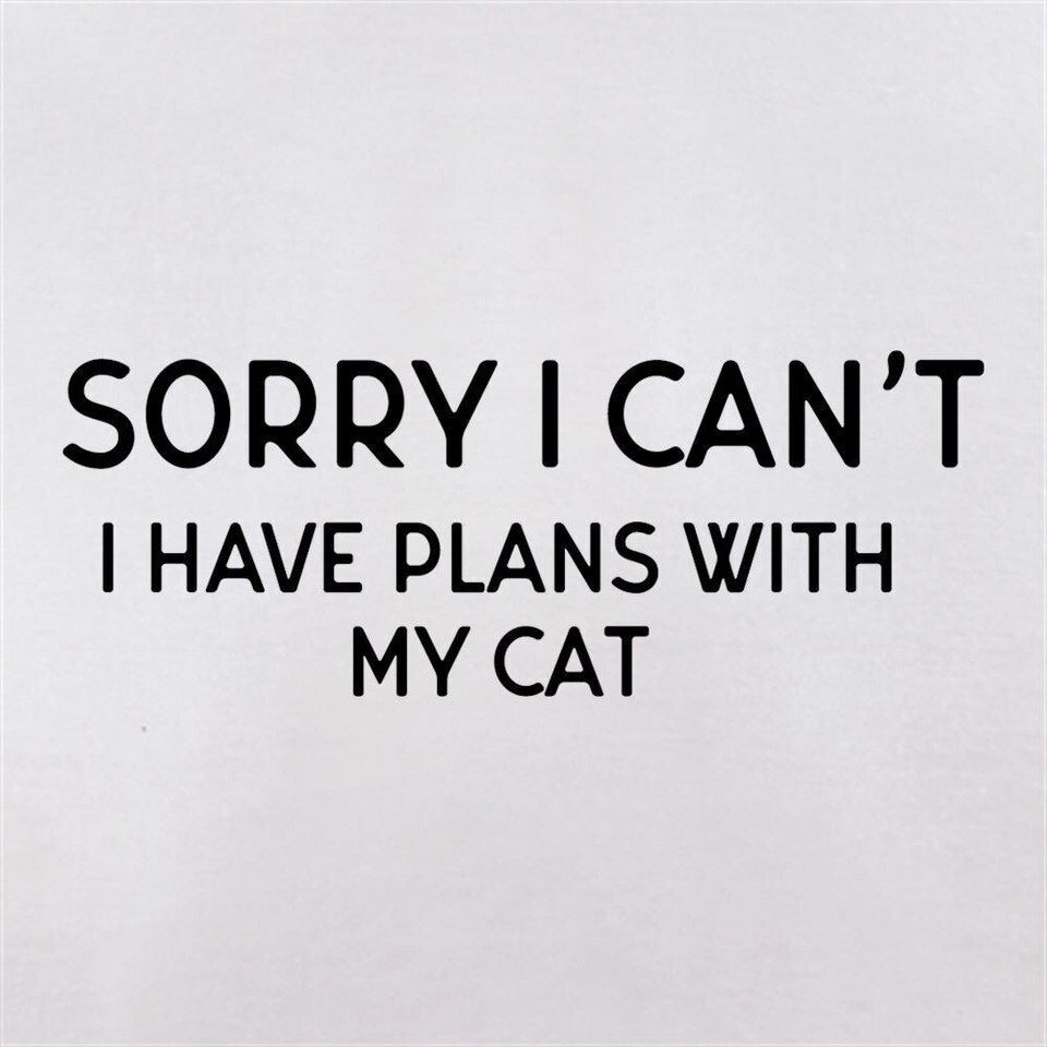 I Have Plans With My Cat - Ceramic Mug - Cats Pet Pets Love Funny ...
