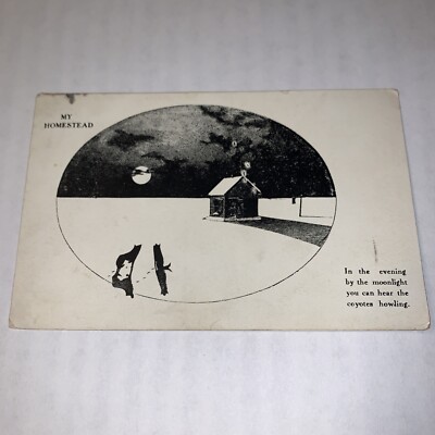Vintage Postcard My Homestead Lonely House Noon Night Coyotes Howling ...