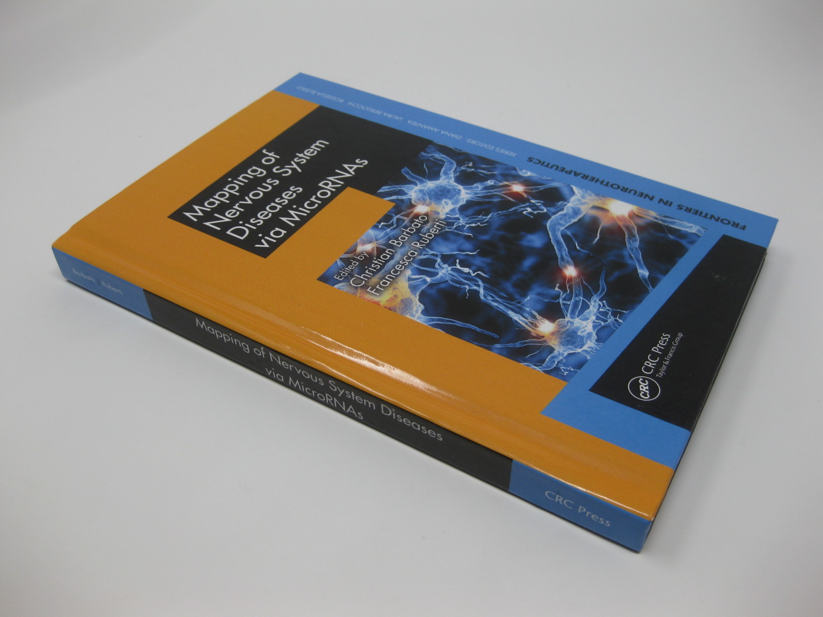 Frontiers in Neurotherapeutics Ser.: Mapping of Nervous System Diseases ...