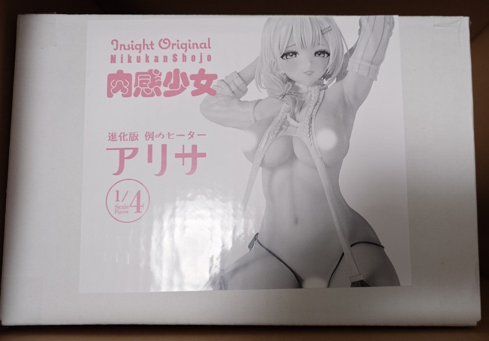 Nikkan Girl Evolved 'That Sweater' Arisa 1/4 Scale Figure 224mm Insight Used JP | eBay