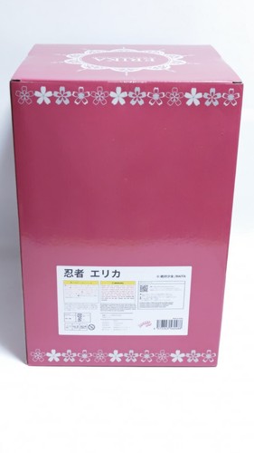 [NEW] Native Rocket Boy Mahou Shoujo 22.0 Ninja Erika 1/6 Complete ...