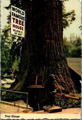 Vintage Postcard of World Famous Tree House in California Redwood ...