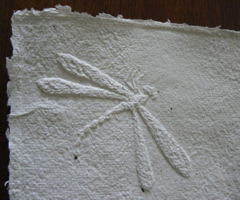 Dragonfly. Paper Hand Cast Paper sculpture art - Paper casting - original Signed | eBay