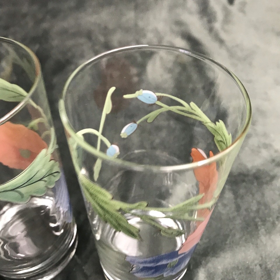 2 VTG ROSE HIP TUMBLERS Iced Tea Water Glasses Franciscan Style (Not ...