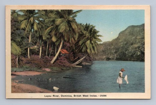 Layou River DOMINICA British West Indies Vintage Caribbean Postcard ...