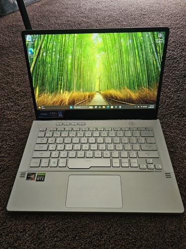 ASUS ROG Zephyrus 14" FHD 144Hz Gaming Laptop AMD Ryzen 7 GA401Q ...