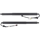For 2020-2022 Hyundai Palisade Rear Left & Right Power Tailgate Lifts ...