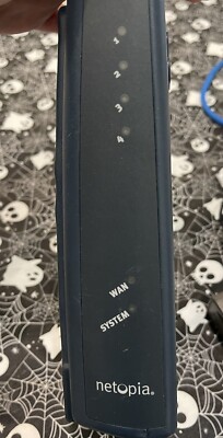 Netopia Cayman 3000 Series Broadband Gateway | eBay