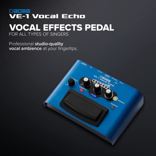BOSS Vocal Echo VE-1 DTM/DAW Effectors and Processors Music Audio ...