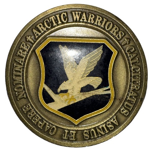 USAF Air Force 3rd Security Forces Squadron SFS Challenge Coin ...