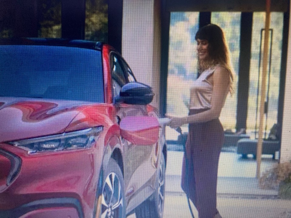 Ford MachE EV Charger 32 Amp Mach E Car charging cable dual 2 plugs 110 ...