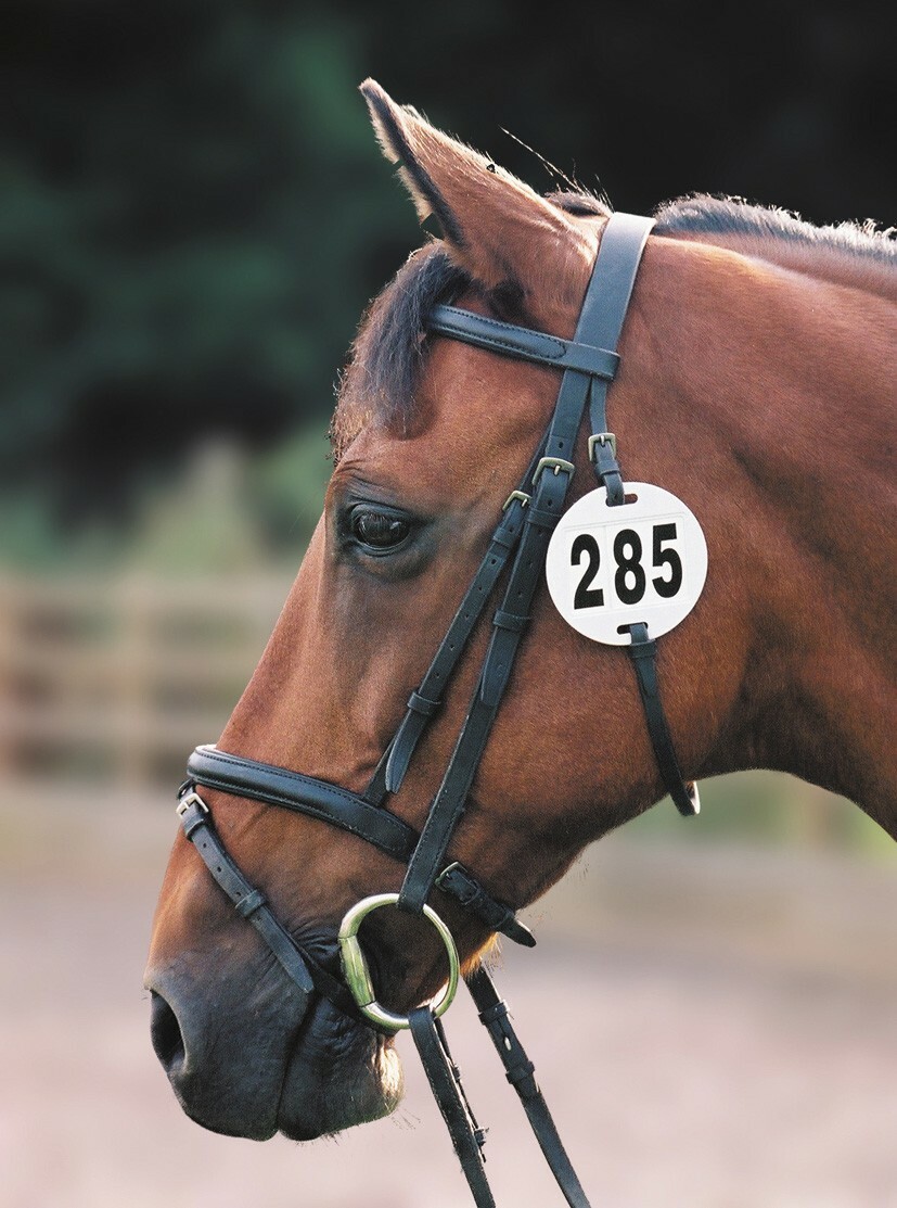 Equidisc 3 Number Bridle Disc Competition Numbers Dressage Show Jumping ...