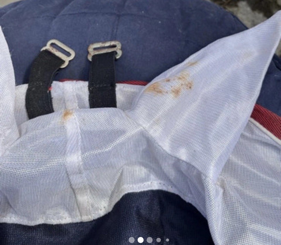 Fly Masks Medium X2 | eBay UK